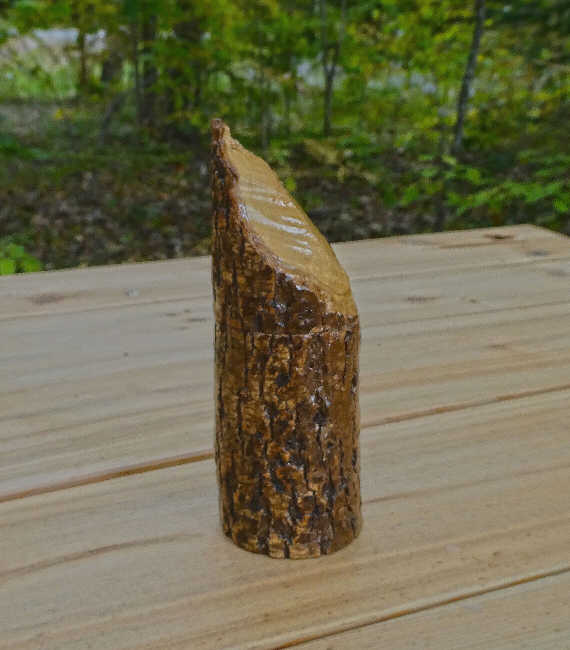 Small Box Made From a Beaver-chewed Log - Etsy