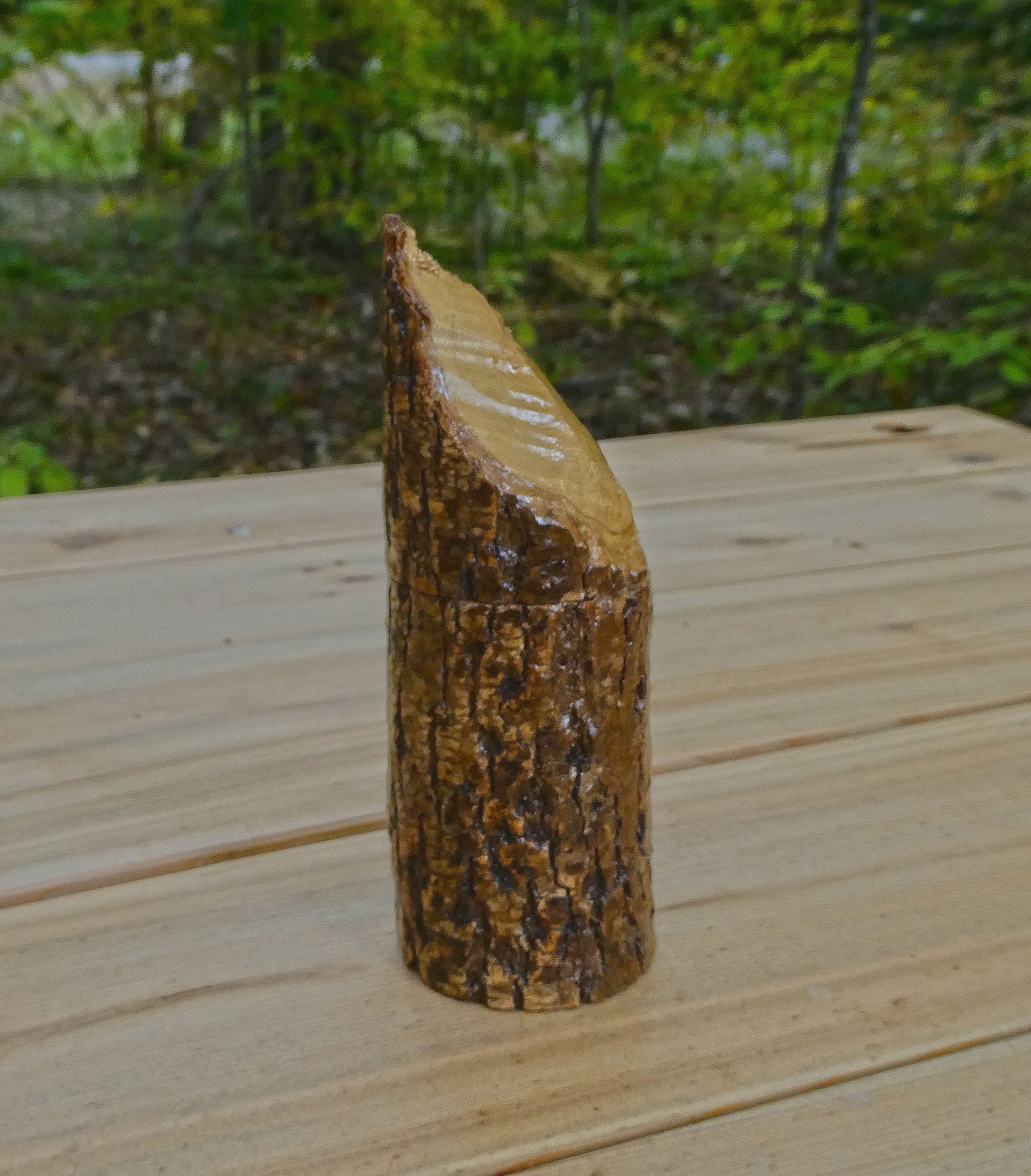 Small Box Made From a Beaver-chewed Log - Etsy
