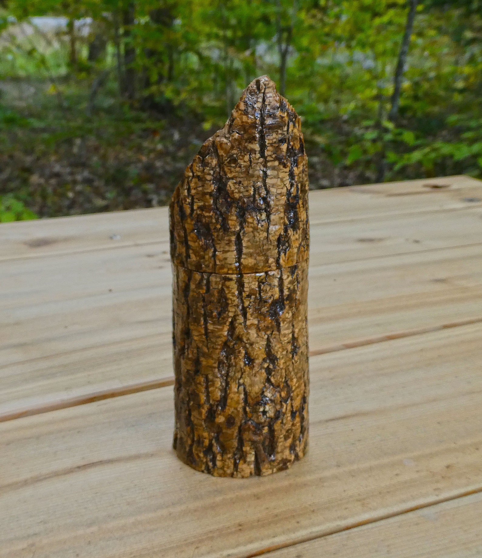 Small Box Made From a Beaver-chewed Log - Etsy