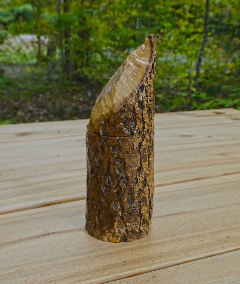 Small Box Made From a Beaver-chewed Log - Etsy
