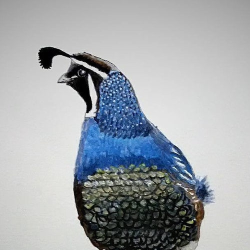California Quail DAI063 - Etsy