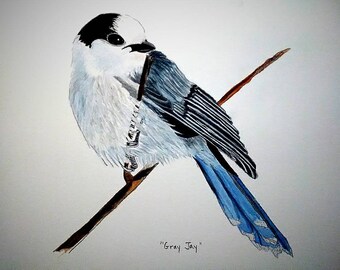 Gray Jay Painting - Etsy
