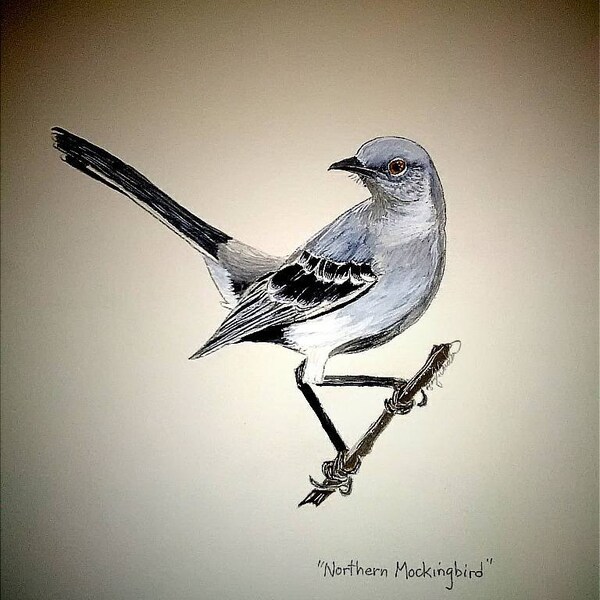 Mockingbird - Etsy