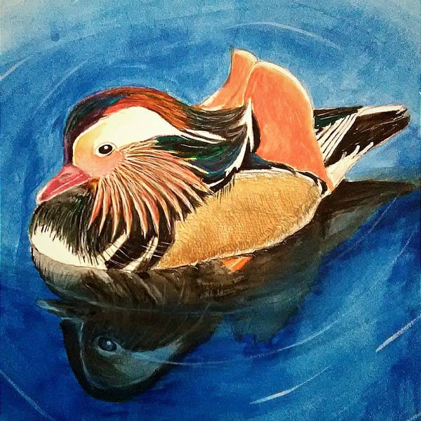 Mandarin Duck Art - Etsy