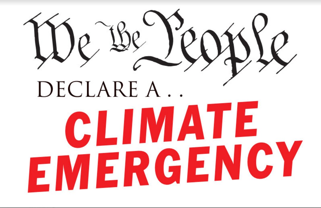 Climate Emergency Poster Rolled in Tube - Etsy