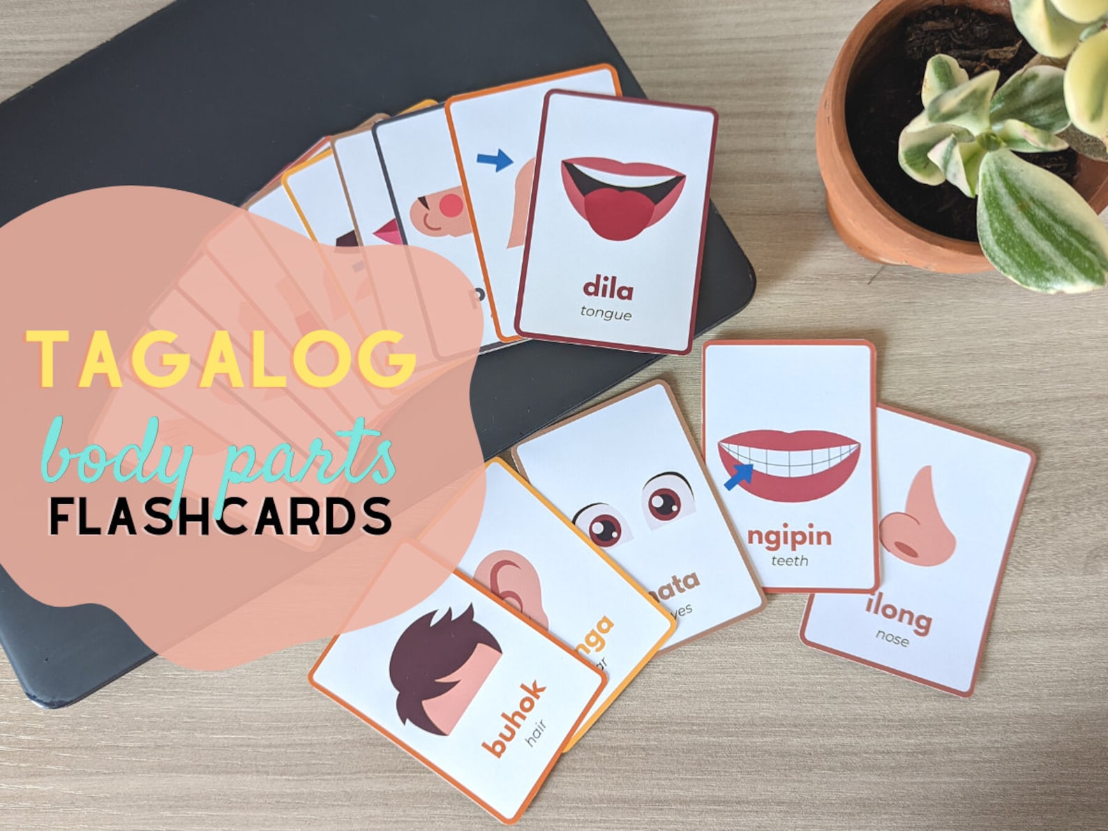 Tagalog Flashcards - Body Parts (digital Print) - Etsy
