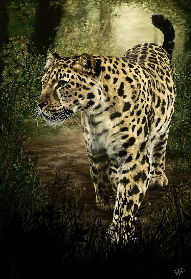 Amur Leopard - Etsy