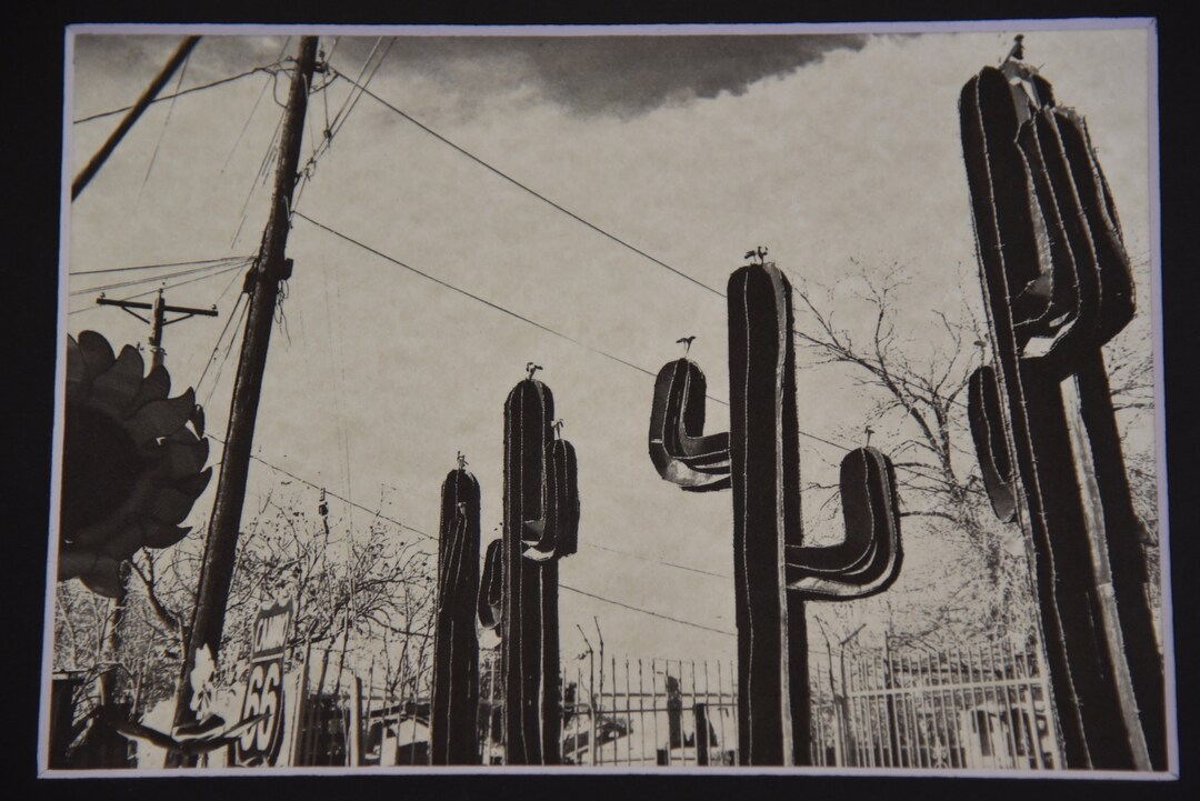 Route 66 Cactus Original Photo - Etsy