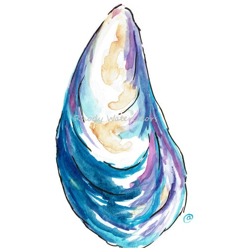 Watercolor Mussel Shell in Vibrant Colors - Etsy UK