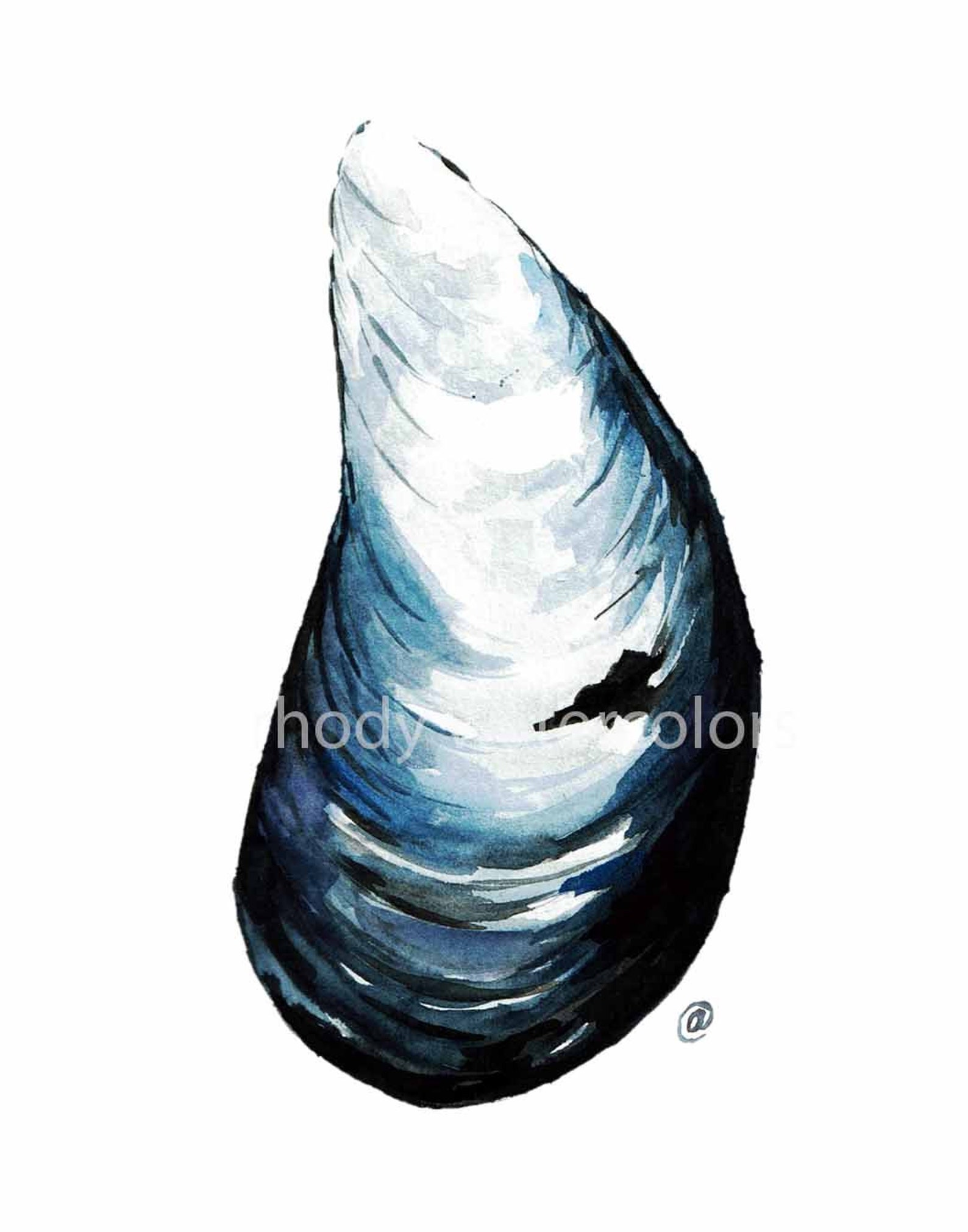 Watercolor Mussel Shell in Deep Blues - Etsy