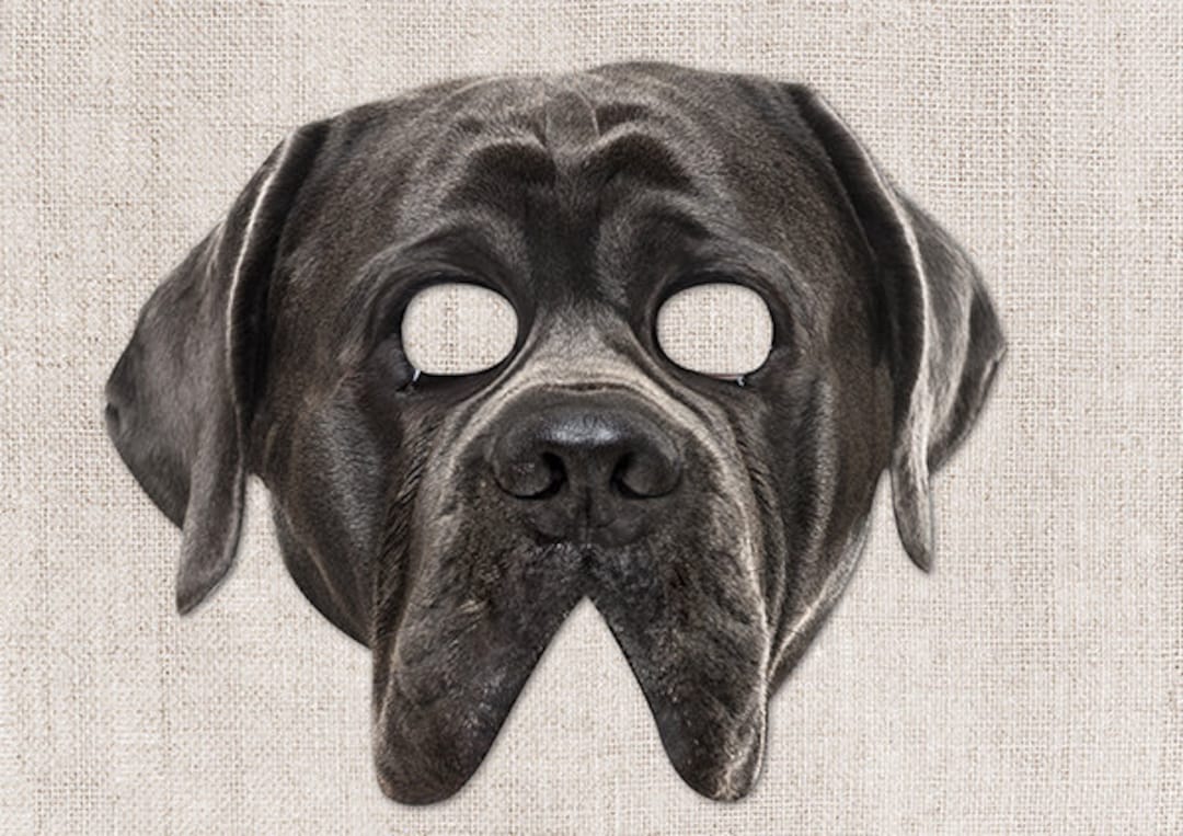 Cane Corso Printable Mask, Gray, Blue, Photo-real Dog Mask, Halloween ...
