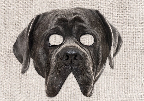 Cane Corso Printable Mask Gray Blue Photo-real Dog Mask - Etsy