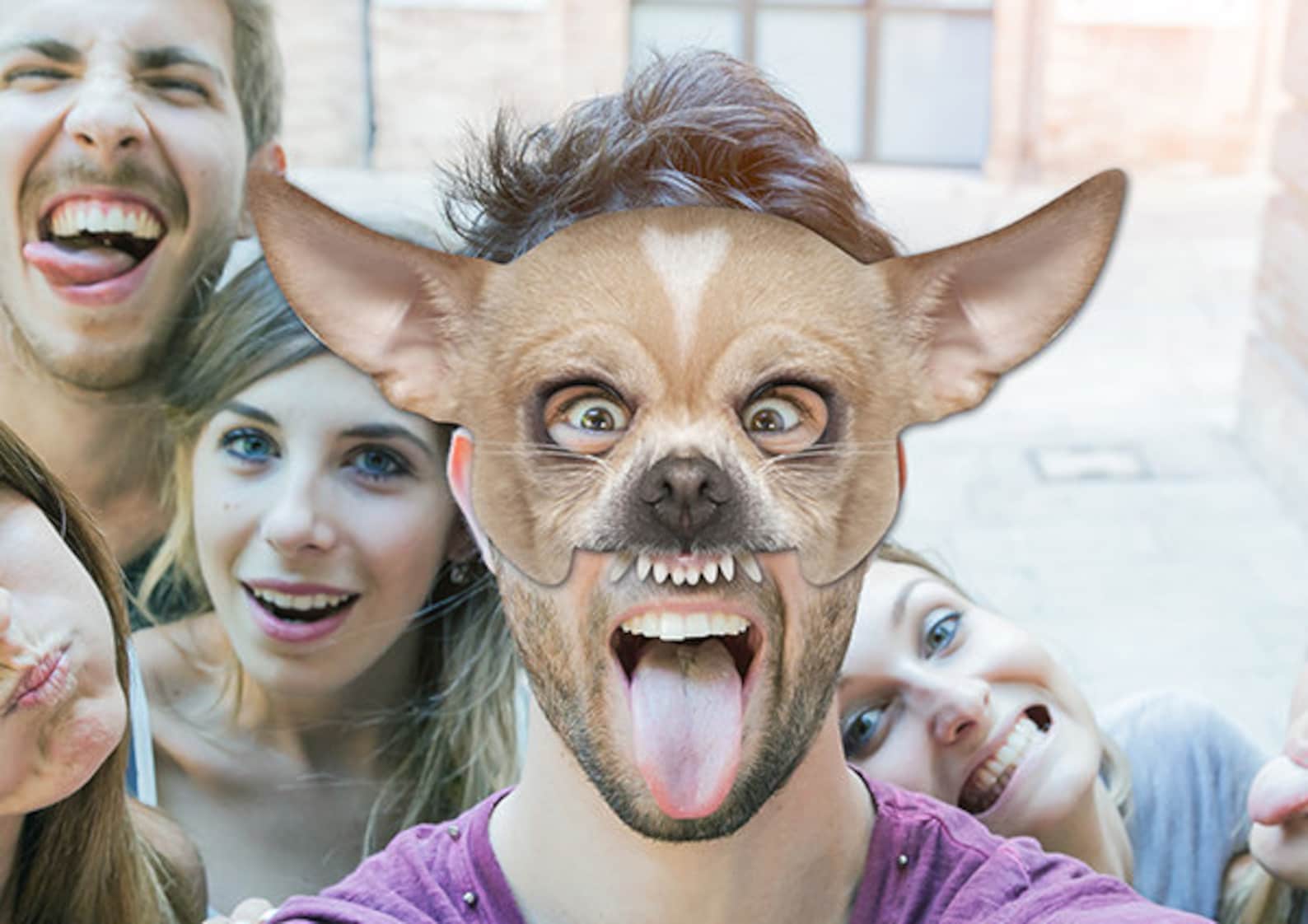 Angry Chihuahua Printable Mask, Dog, Chihuahua, Photo-real Dog Mask ...