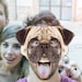 Pug Printable Mask, Dog, Pug, Photo-real Dog Mask, Halloween Mask ...