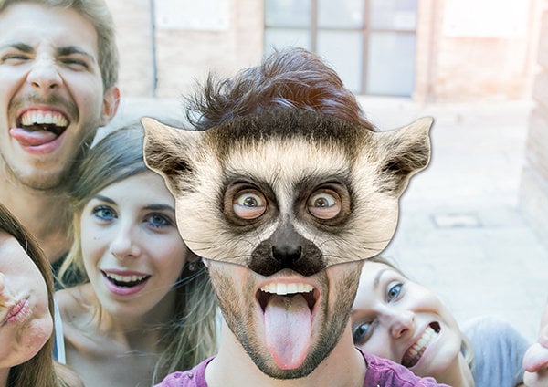 Lemur Printable Mask, Ring-tailed Lemur, Photo-real Lemur Mask ...