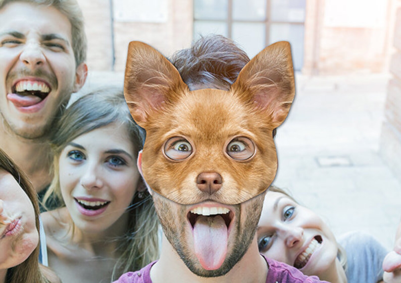Chihuahua Printable Mask, Dog, Chihuahua, Photo-real Dog Mask ...
