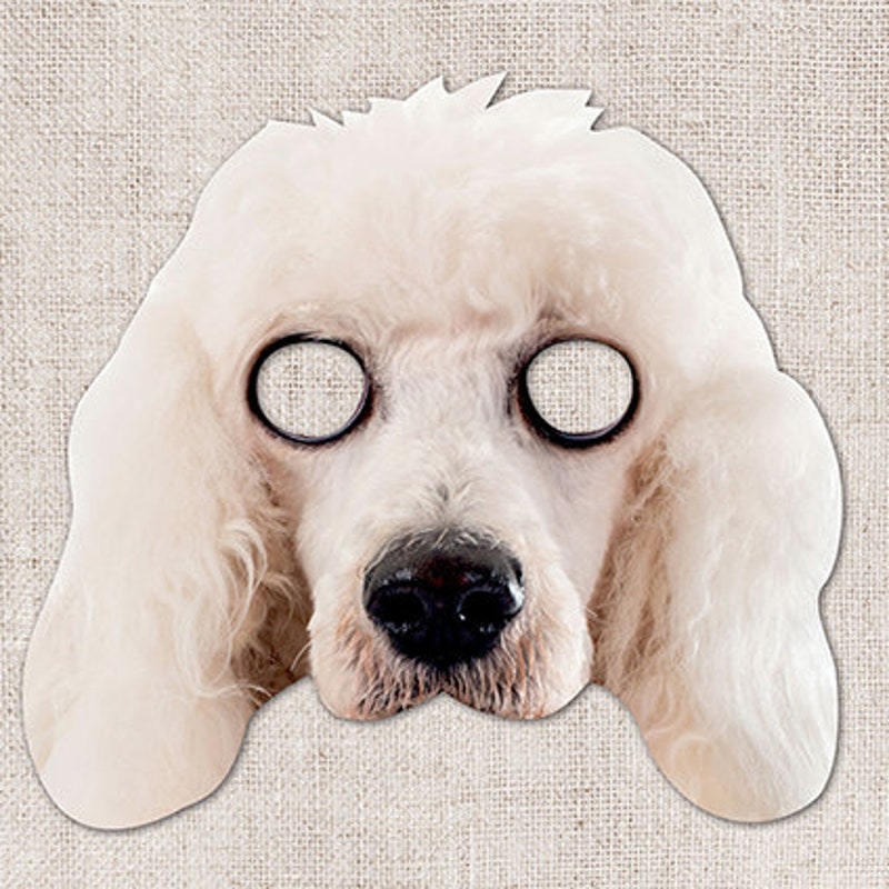 Halloween Poodle Costume - Etsy