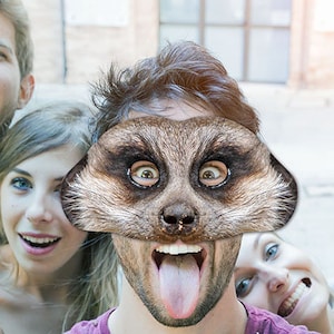 Meerkat Printable Mask, Photo-real Meerkat Costume, Timon, Halloween ...