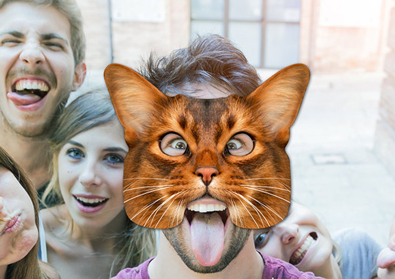 Somali Cat Printable Mask, Cat, Photo-real Cat Mask, Halloween Mask ...