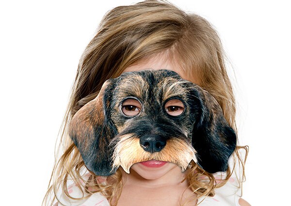 Wire-haired Dachshund Printable Mask, Dog, Photo-real Dog Mask ...