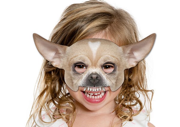 Angry Chihuahua Printable Mask, Dog, Chihuahua, Photo-real Dog Mask ...