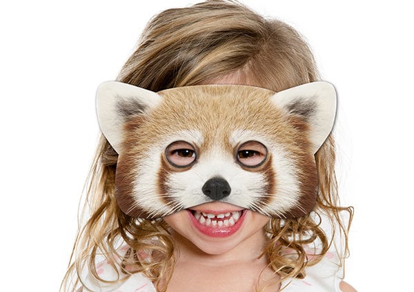 Red Panda Face Paint
