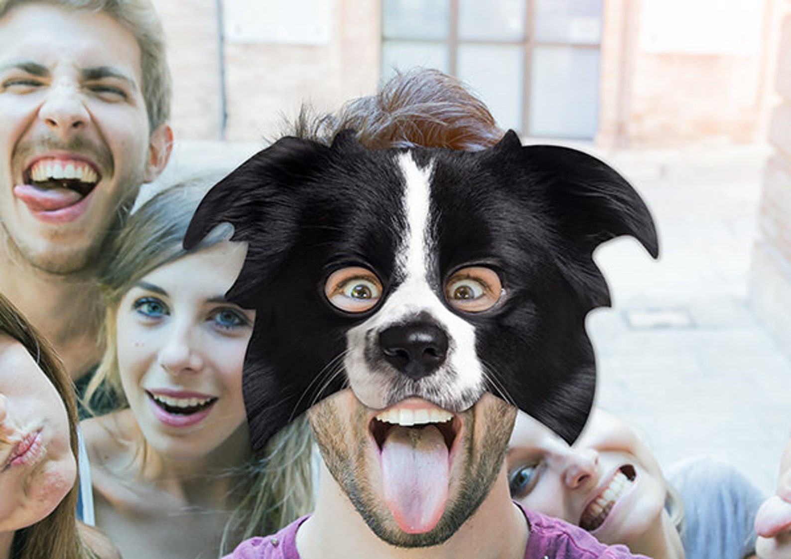 Border Collie Printable Mask, Dog, Photo-real Dog Mask, Halloween Mask ...