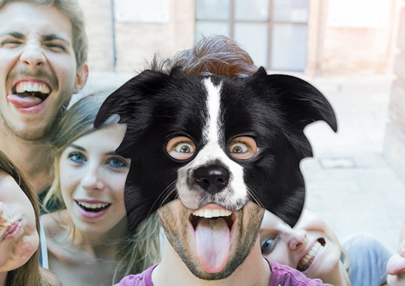 Border Collie Printable Mask, Dog, Photo-real Dog Mask, Halloween Mask ...