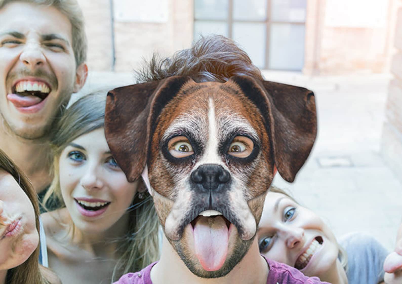 Old Boxer Printable Mask, Dog, Boxer, Photo-real Dog Mask, Halloween ...