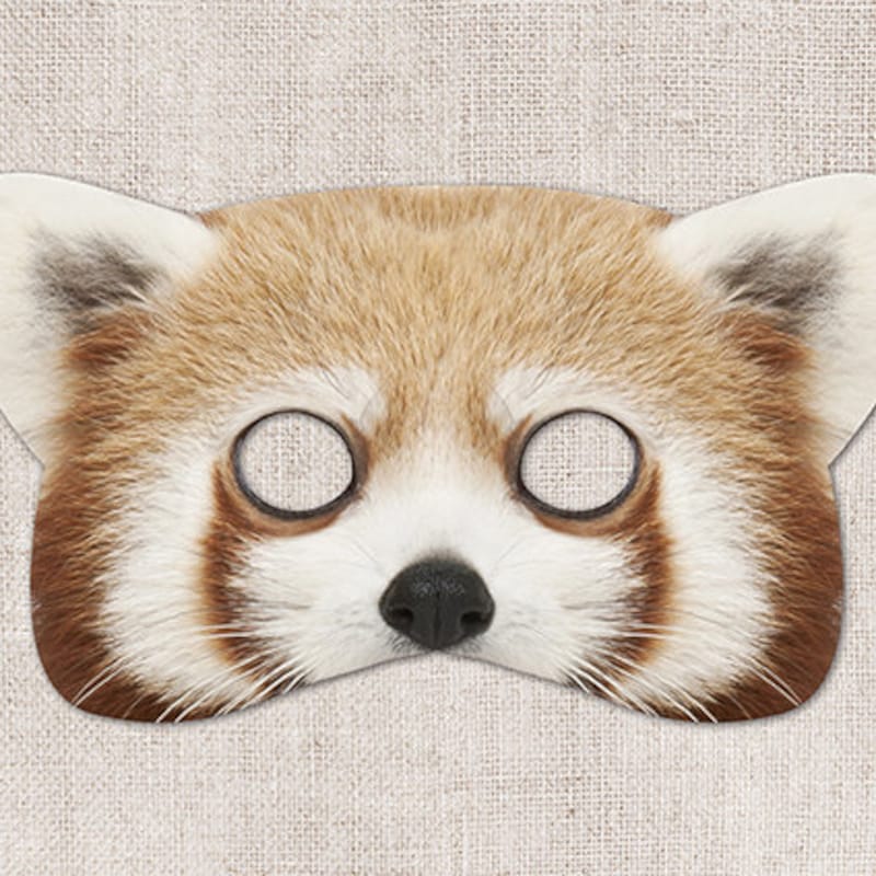 Red Panda Costume - Etsy