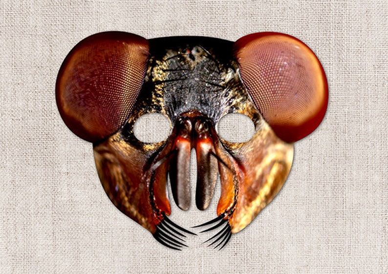 Housefly Printable Mask, Housefly, Photo-real Fly Mask, Printable ...