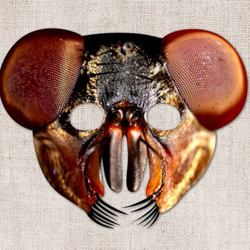 Ant Halloween Costume - Etsy