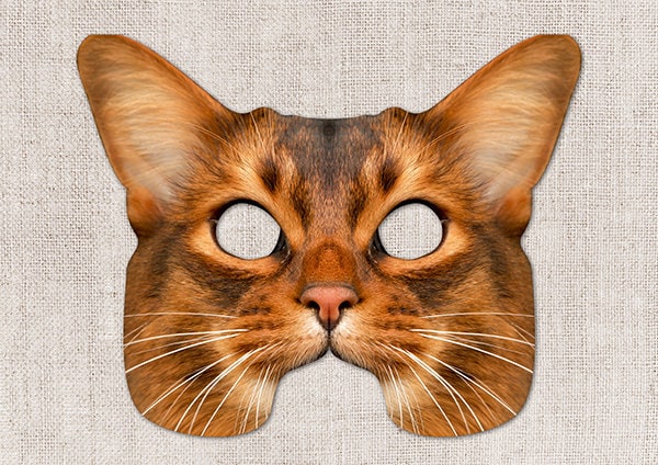 Somali Cat Printable Mask, Cat, Photo-real Cat Mask, Halloween Mask ...