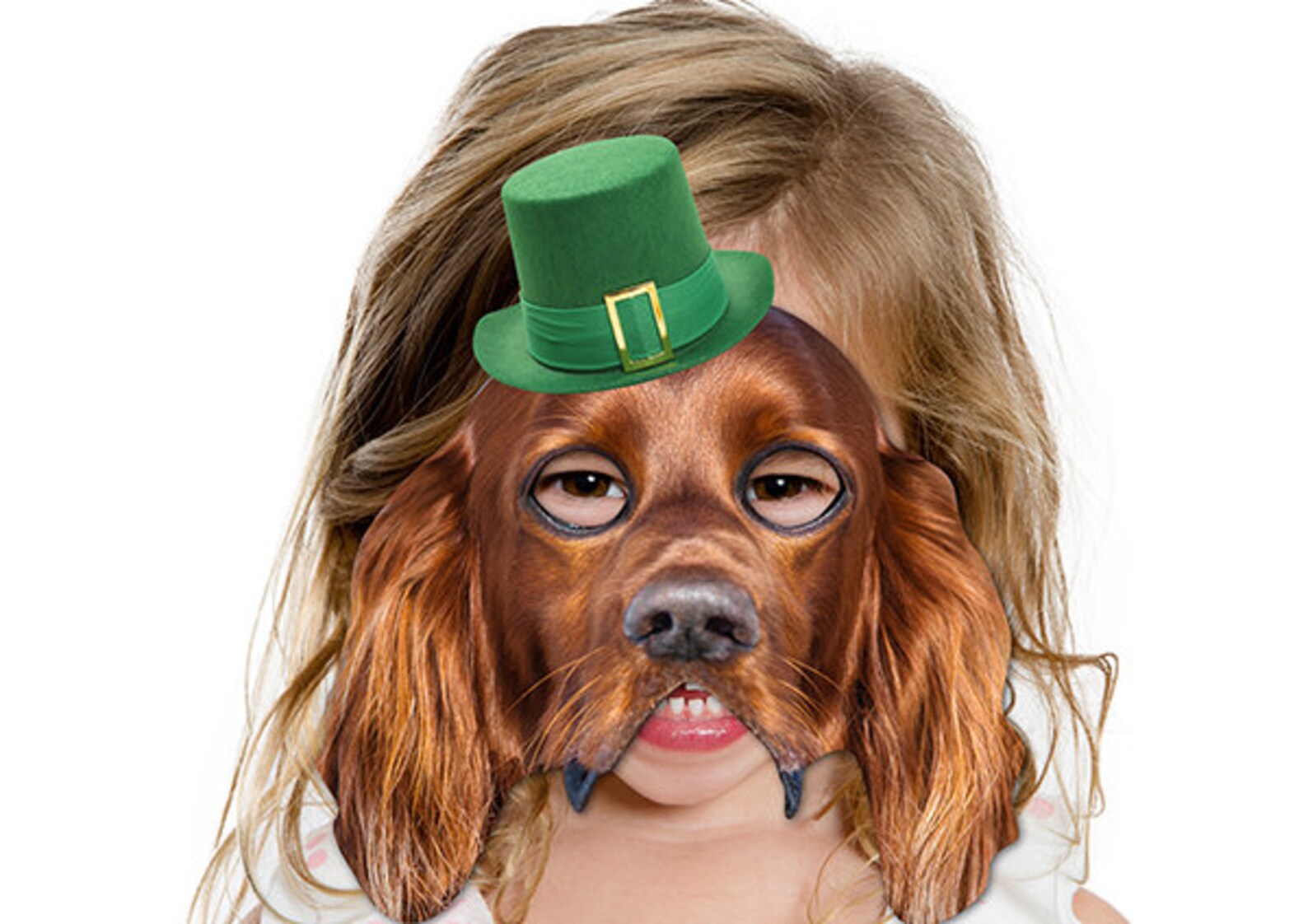 Irish Setter Printable Mask, Dog, Irish Setter, Printable Mask, Irish ...