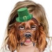 Irish Setter Printable Mask, Dog, Irish Setter, Printable Mask, Irish ...