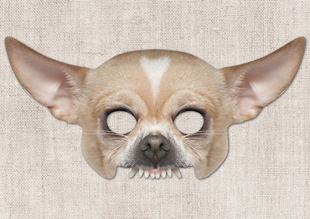 Angry Chihuahua Printable Mask, Dog, Chihuahua, Photo-real Dog Mask ...