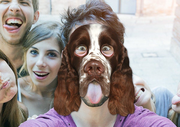 Springer Spaniel Printable Mask, Dog, Springer Spaniel, Photo-real Dog ...
