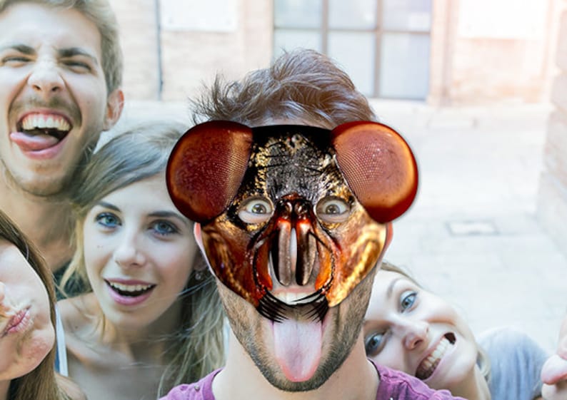 Housefly Printable Mask, Housefly, Photo-real Fly Mask, Printable ...