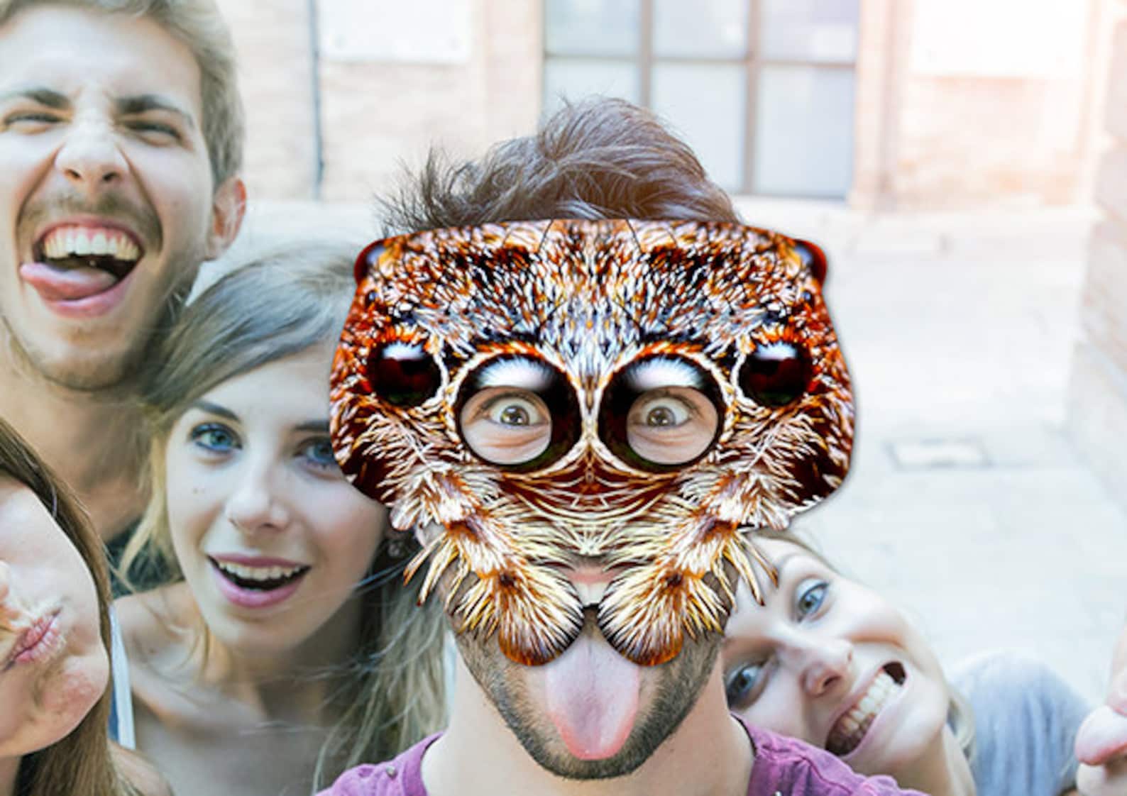 Jumping Spider Printable Mask, Spider, Photo-real Spider Mask ...