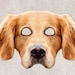 Golden Retriever Printable Mask, Dog, Golden, Photo-real Dog Mask ...