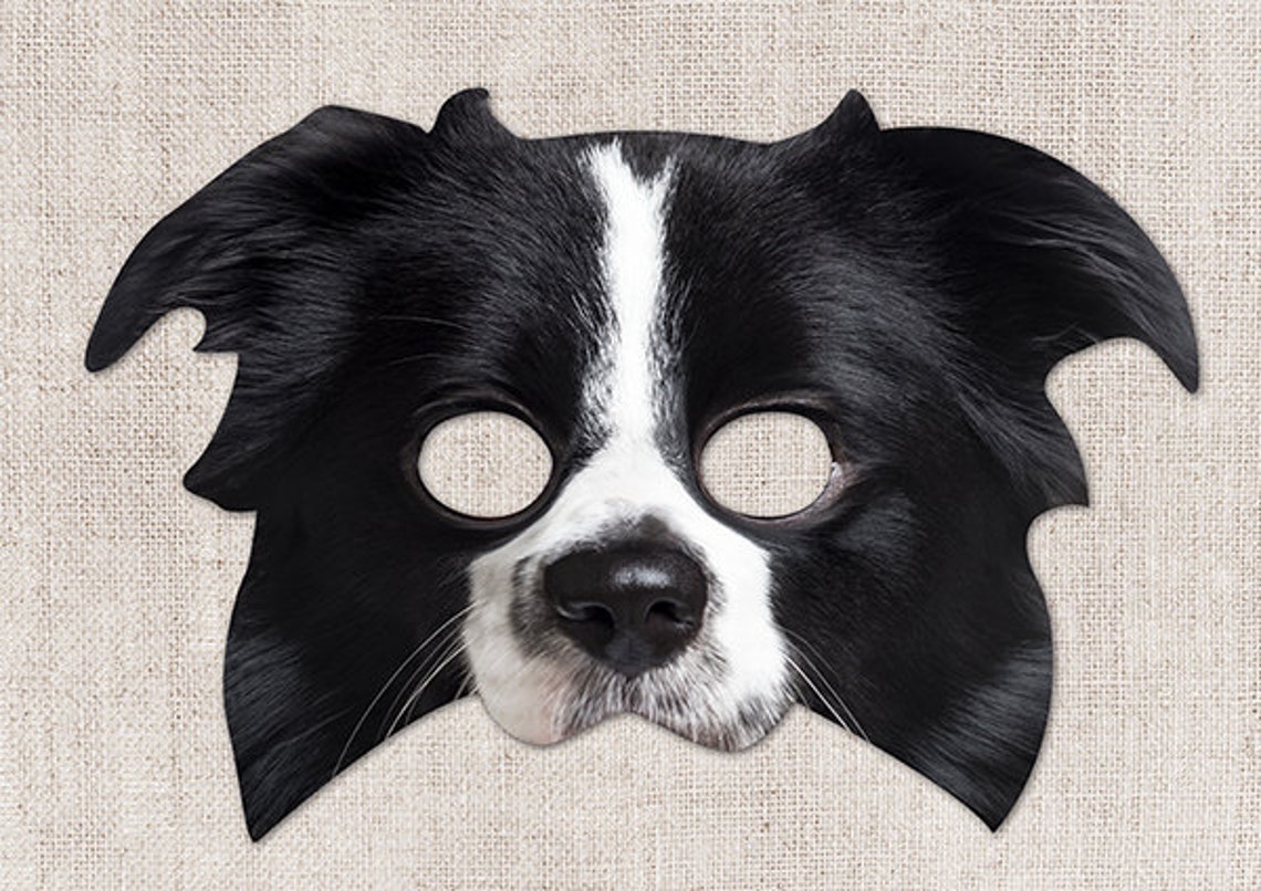 Border Collie Printable Mask, Dog, Photo-real Dog Mask, Halloween Mask ...