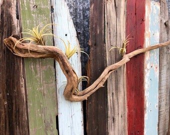 Branch wall art | Etsy