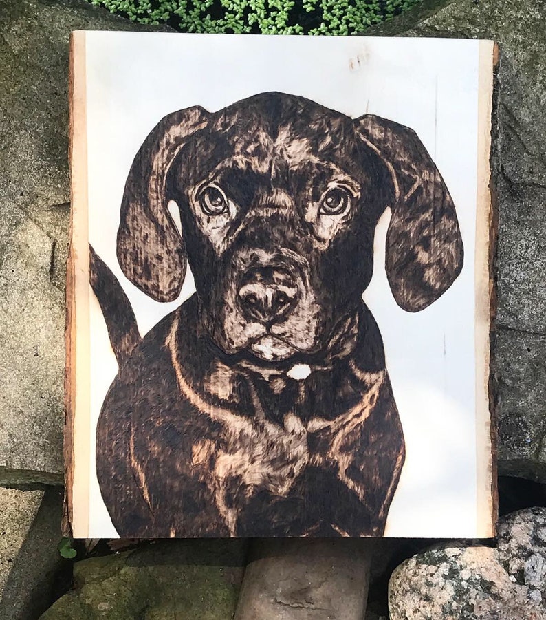 Custom Wood Burning Animal Lover Pet Dog Cat Portrait Wall Art - Etsy