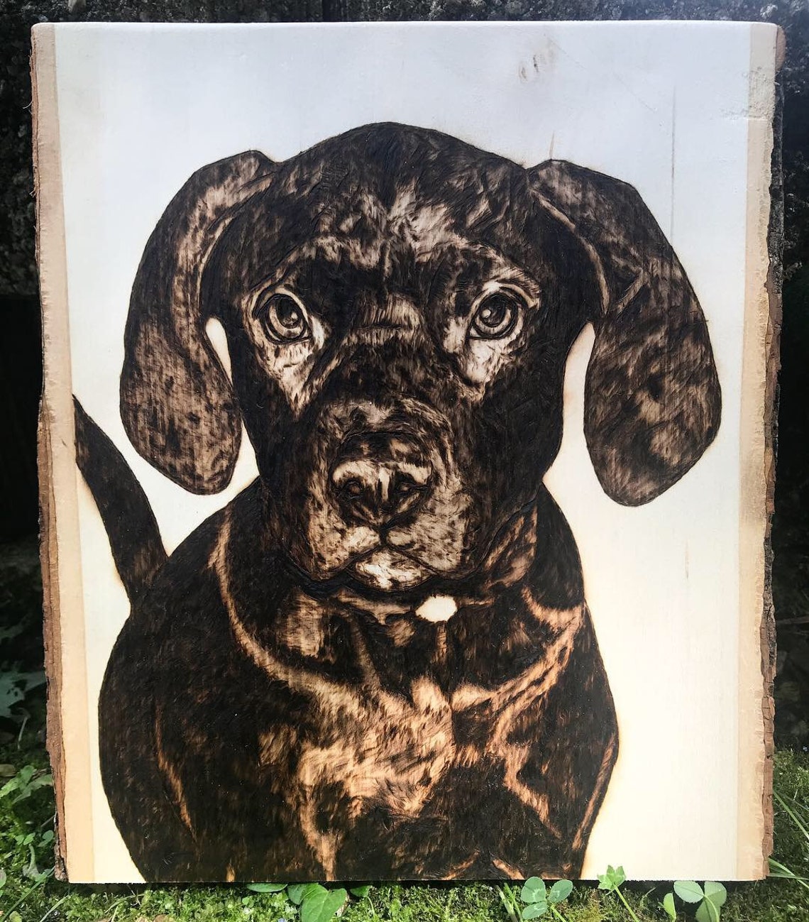 Custom Wood Burning Animal Lover Pet Dog Cat Portrait Wall Art - Etsy