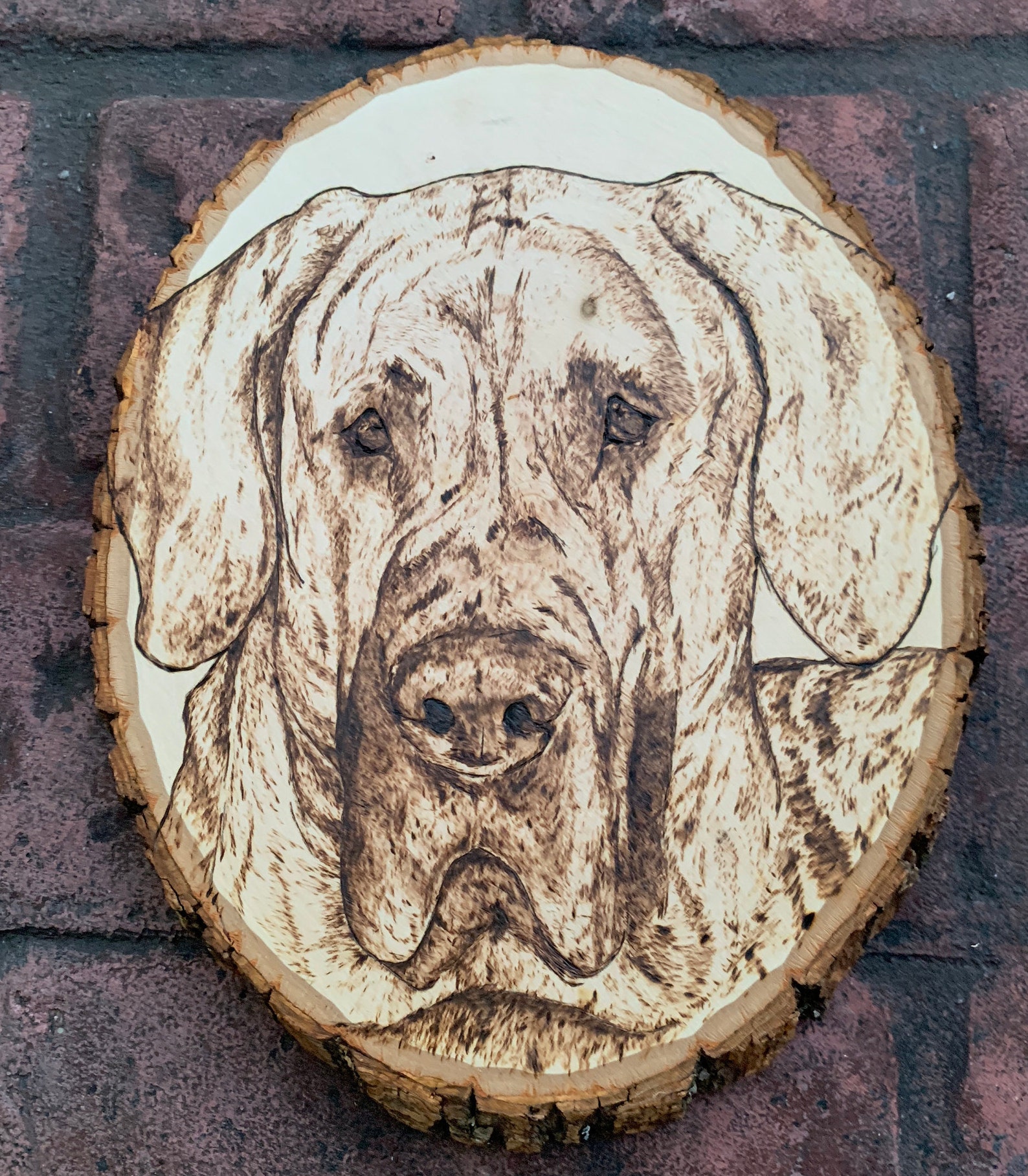 Custom Wood Burning Animal Lover Pet Dog Cat Portrait Wall Art - Etsy