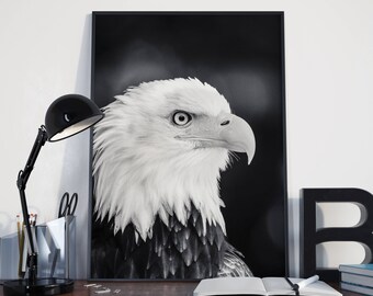 Bald eagle print | Etsy