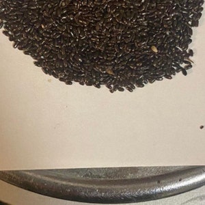 Folgate, Royal Velvet, and Melissa Lavender Seeds - Etsy