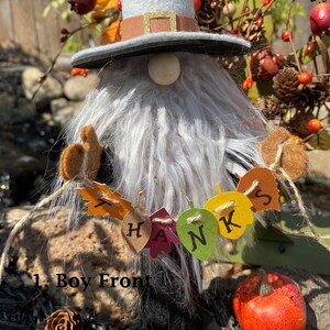 Pilgrim Gnomes, Thanksgiving Gnomes, Fall Gnomes, Turkey Gnome - Etsy