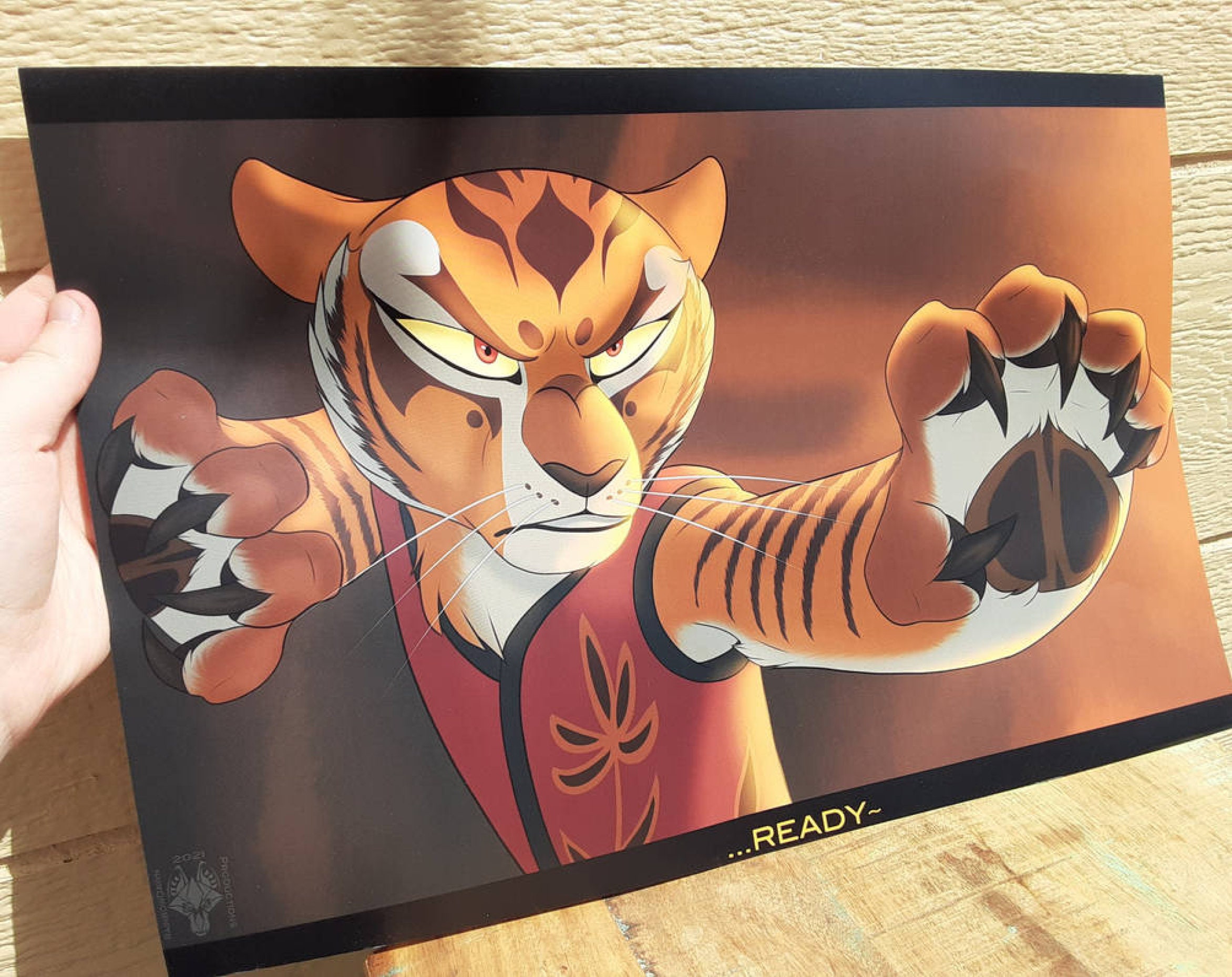 Kung Fu Panda Tigress Face