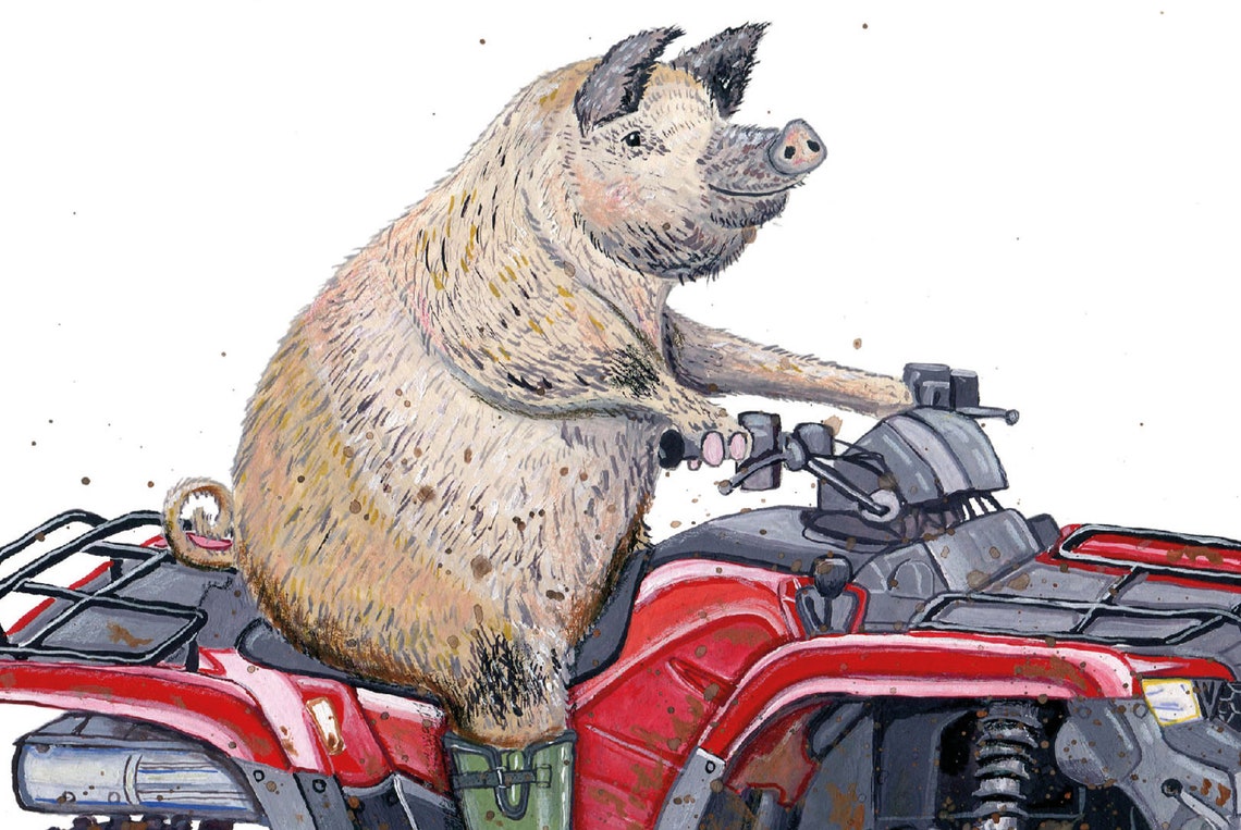 Pig Riding a Quad Bike A5 Greeting Card Printed on Recycled - Etsy